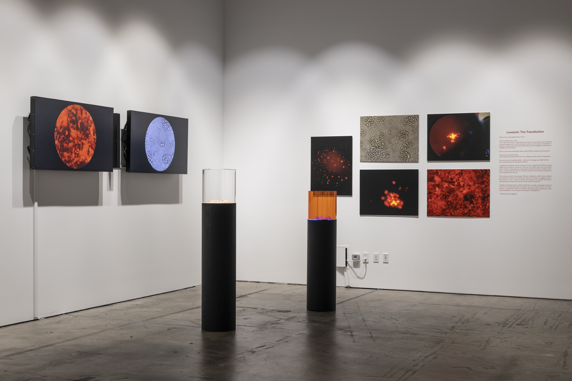 In Conversation: Heather Dewey-Hagborg and Annalee Newitz | Minnesota ...