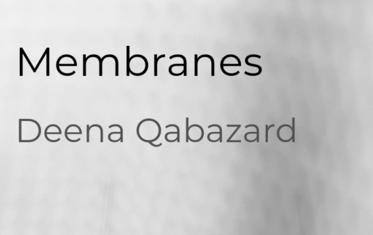 Membranes: Deena Qabazard | Minnesota Street Project
